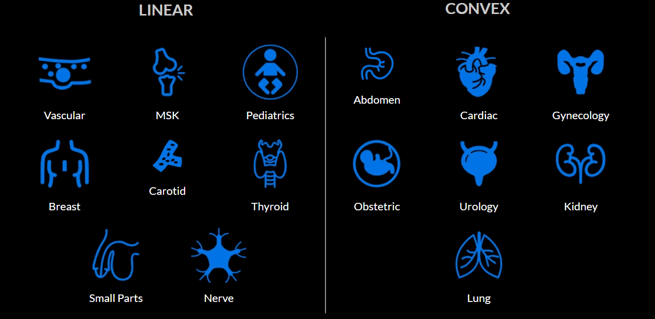 Portable Pocket Handheld Wireless Color Doppler Ultrasound – SonoWave